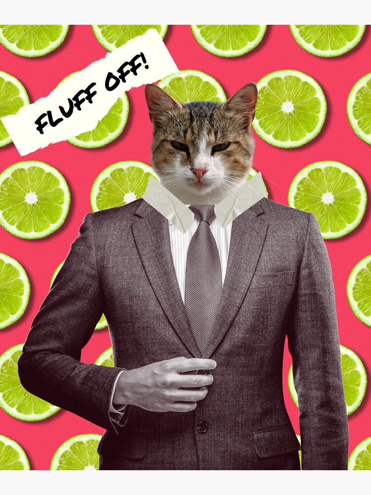 "Funny Cat Fluff Off Pop Art Cat Lovers " Sticker for Sale by Weldlhaj ...
