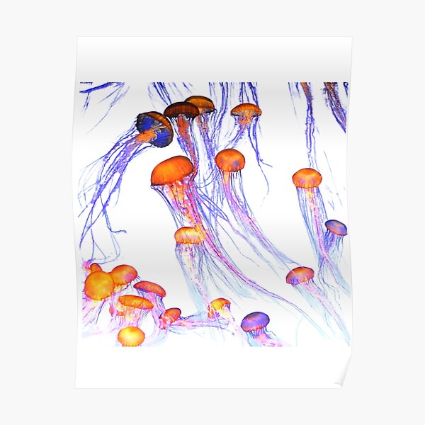"Jellyfish Ocean Underwater" Poster for Sale by AlexLab | Redbubble