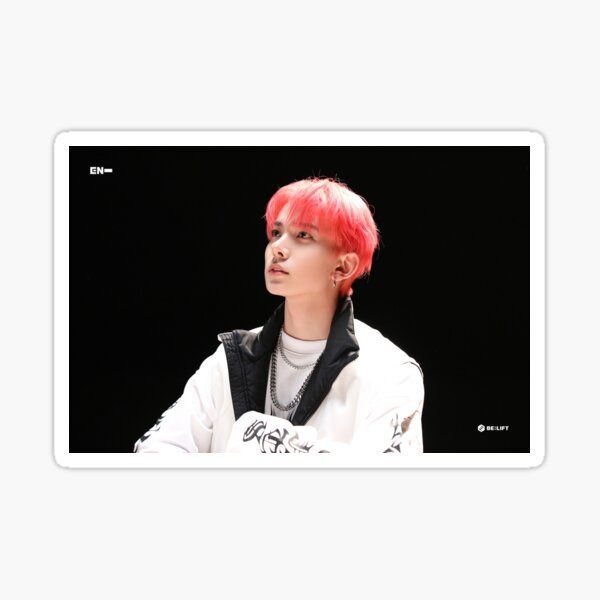 "Heeseung Pink Hair Map (ENHYPEN)" Sticker by klovepop | Redbubble