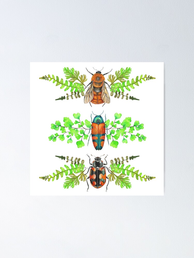 "Composition of endangered insects from Chile" Poster by SandraHaro ...