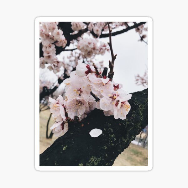 "Spring" Sticker by HkyuuArt | Redbubble