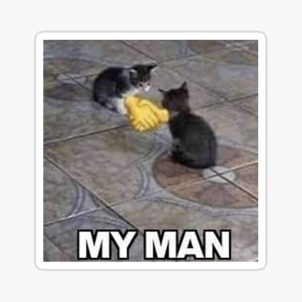 "my man kittens" Sticker for Sale by rxcketl0kizzz | Redbubble