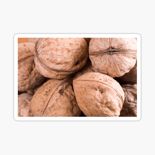 "Macro view of a group of walnuts " Sticker for Sale by vladromensky ...