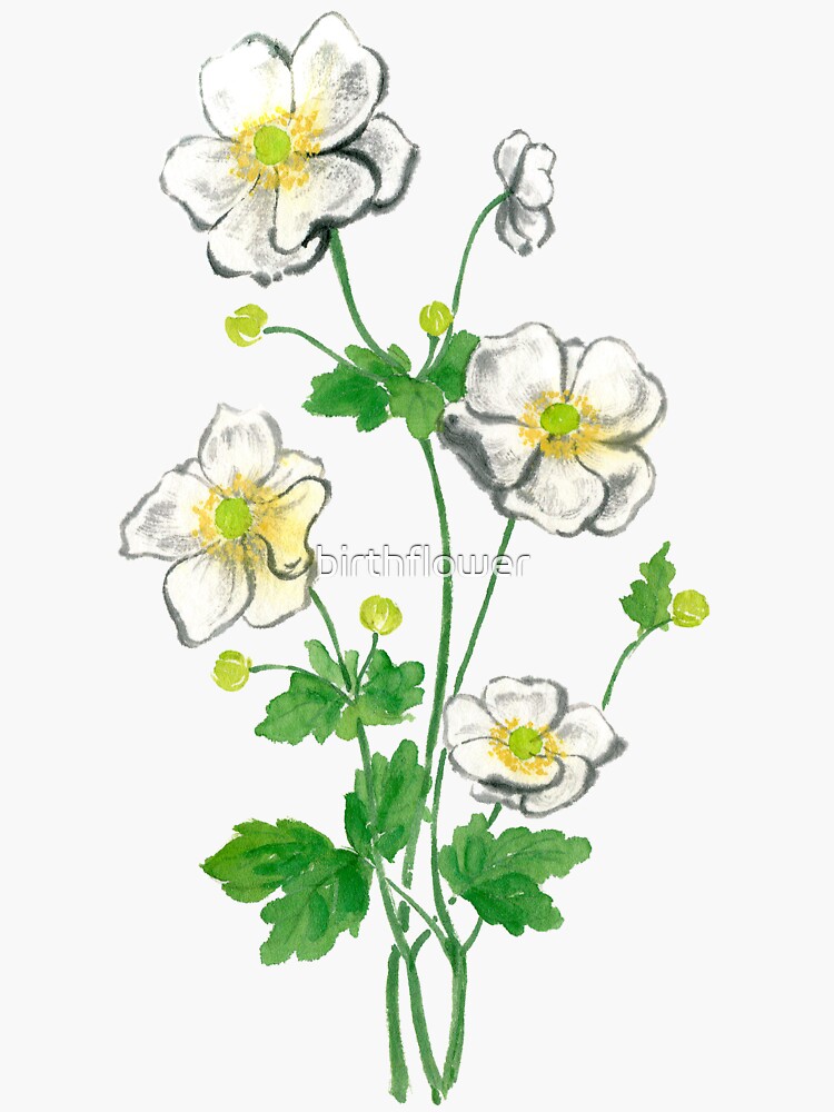 "April 2nd birth flower" Sticker by birthflower | Redbubble