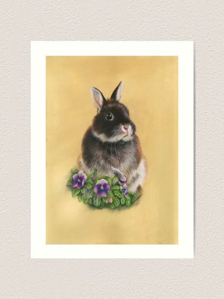 "Netherland Dwarf" Art Print by LeanneMBrown | Redbubble