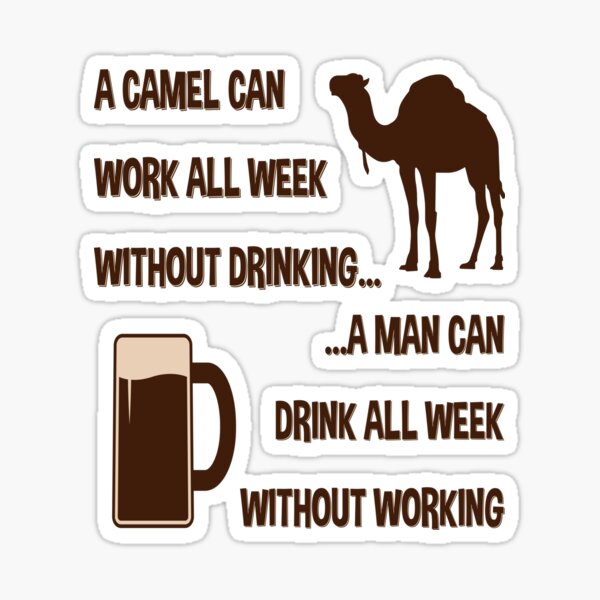 "Camel Man Working Drinking Hot Funny Comical Quotes" Sticker for Sale ...