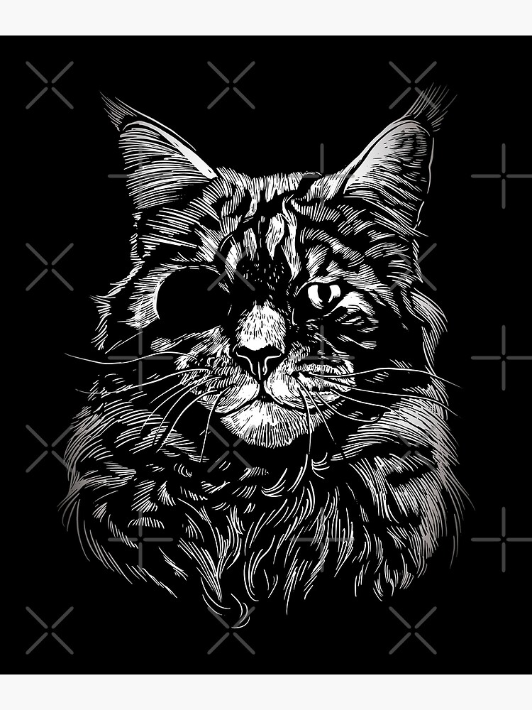 "Realistic cat with eye patch" Poster by IdeasWithWords | Redbubble