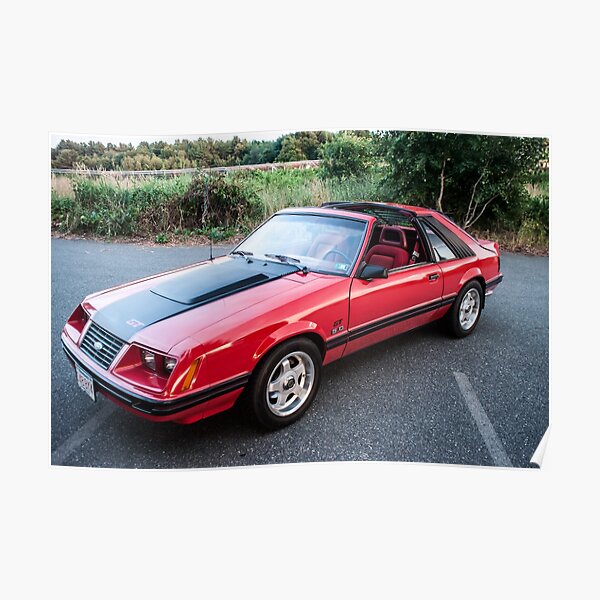 "Stang" Poster by crowell | Redbubble
