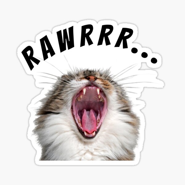 "Kitty Roar" Sticker by VENUS-COMBERS | Redbubble
