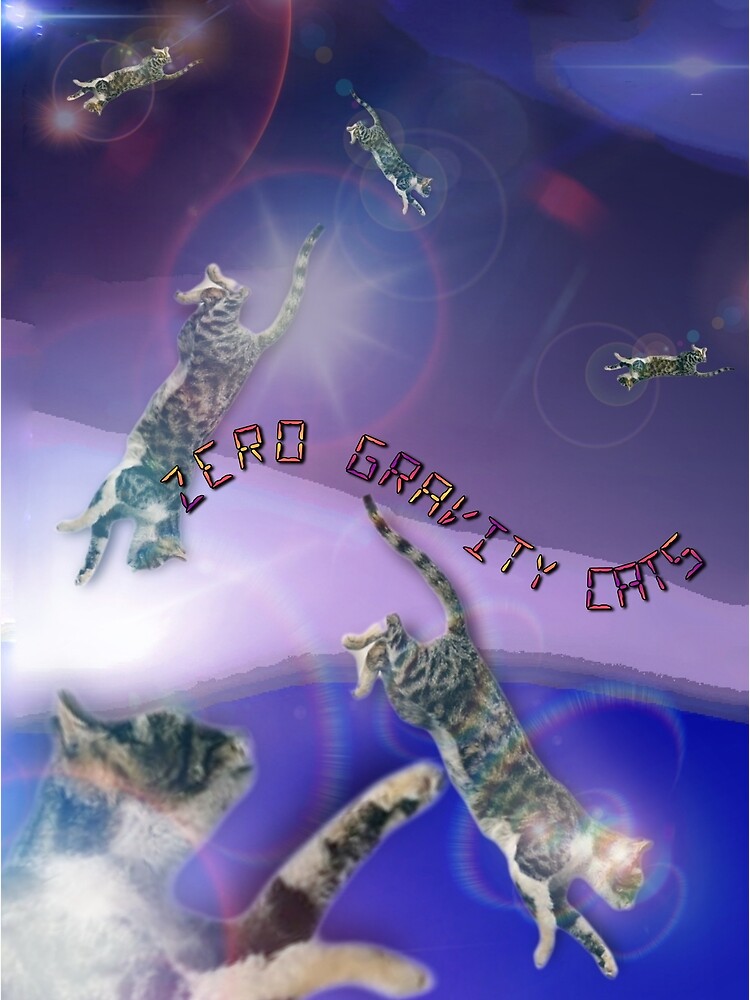 "Zero Gravity Cats" Poster by Burtoncolorado | Redbubble