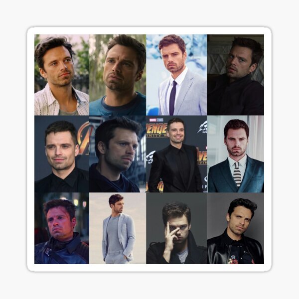 "Sebastian Stan Collage" Sticker by Figureme | Redbubble