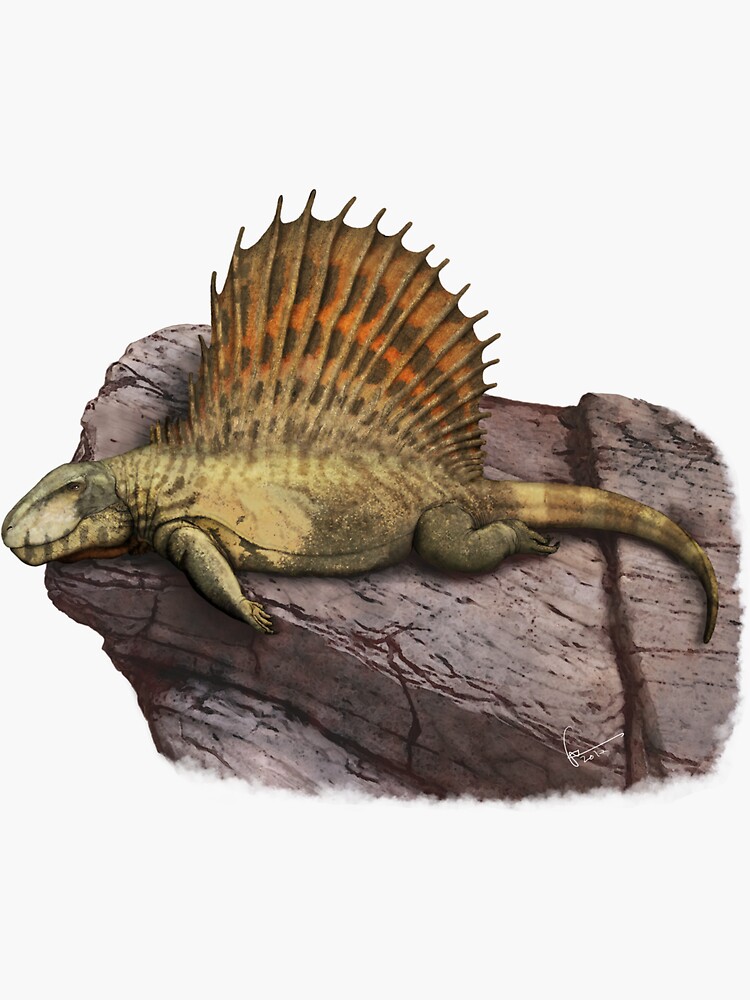 "Dimetrodon" Sticker for Sale by SerpenIllus | Redbubble