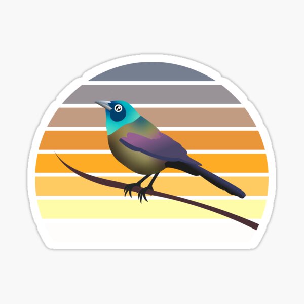"Grackle exotic bird" Sticker by Samuel-Ruhland | Redbubble