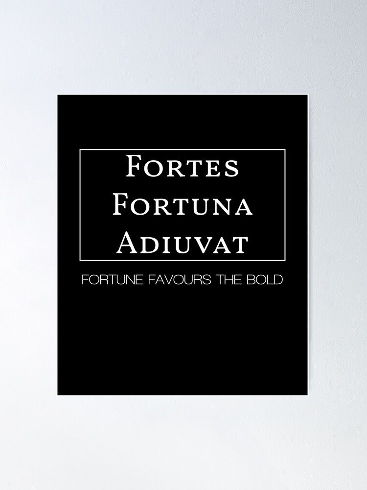 Citas De La Fortuna Que Favorecen A Los Valientes