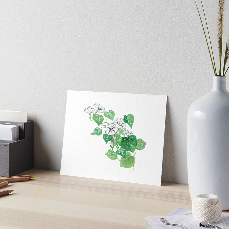"April 14th birth flower" Art Board Print by birthflower | Redbubble