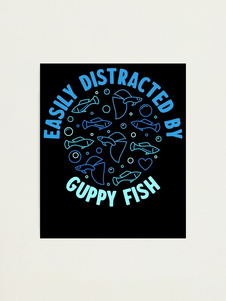 Lámina fotográfica «Fácilmente distraído por el diseño coloreado en ...