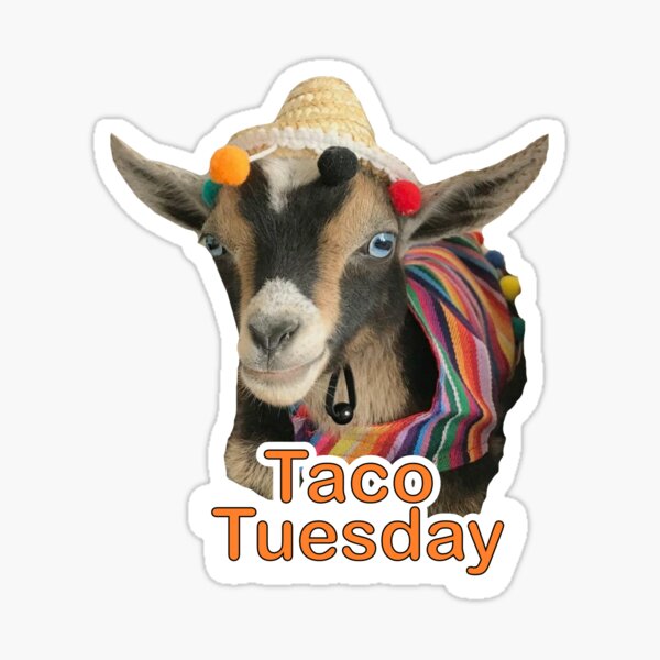 "Taco Tuesday!" Sticker by kenrich111 | Redbubble