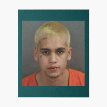 "Dominic Fike Mugshot " Art Board Print by BlackRockCo | Redbubble