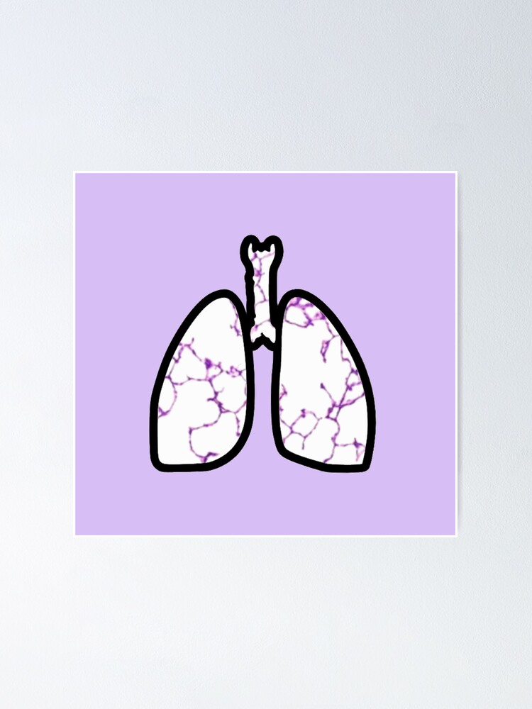 "Lung Histology Sticker Pulmonology Pathology Respiratory" Poster by ...