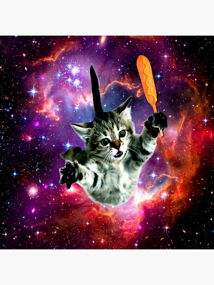 "Corn Dog Cat In Space" Poster for Sale by scooterbaby | Redbubble