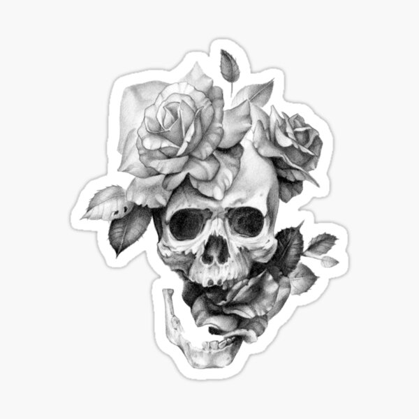 "scull" Sticker for Sale by Focusprint | Redbubble