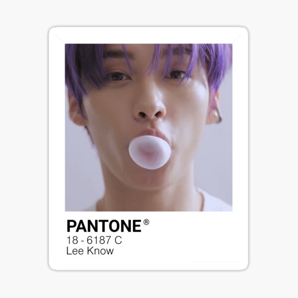 "lee know" Sticker for Sale by jvsmin | Redbubble