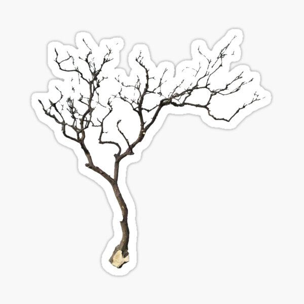 Dreamworkstv Gifts & Merchandise for Sale | Redbubble