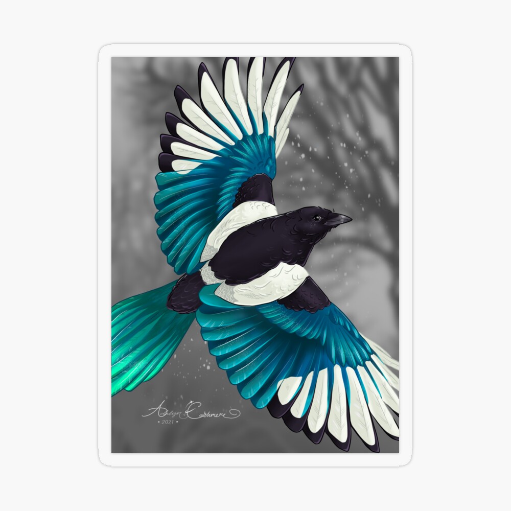 Magpie Art