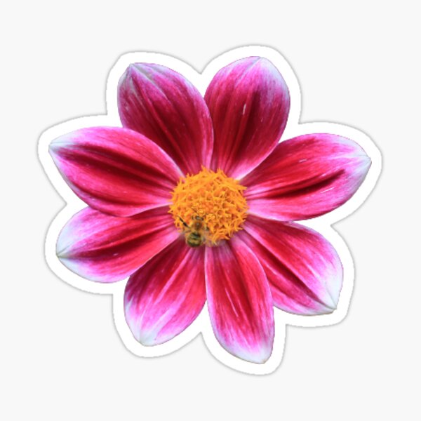 "Pink Flower Cut-Out" Sticker for Sale by TaterFlakes | Redbubble