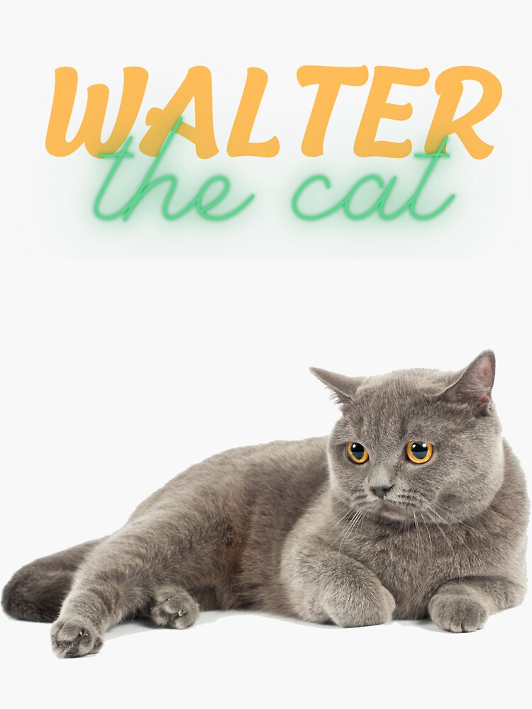 " Walter The Cat " Sticker by Designbones2020 | Redbubble