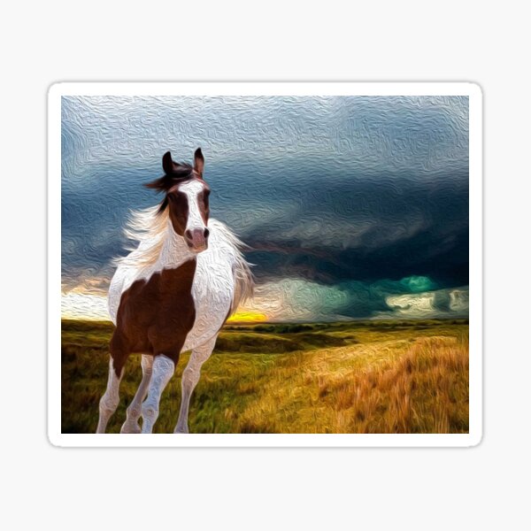 "STORM RUNNER" Sticker by FunWerx | Redbubble