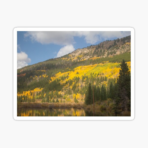 "Aspen Fall Colors in Colorado #2" Sticker by ywphotos | Redbubble