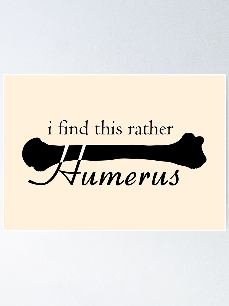 "i find this rather humerus pun" Poster for Sale by Starstacks | Redbubble