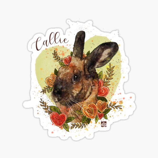 "Callie The Bunny" Sticker for Sale by elvenwings | Redbubble