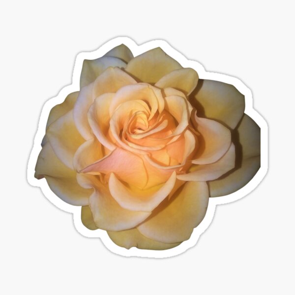 "Yellow Rose" Sticker for Sale by BrownTabbyPress | Redbubble