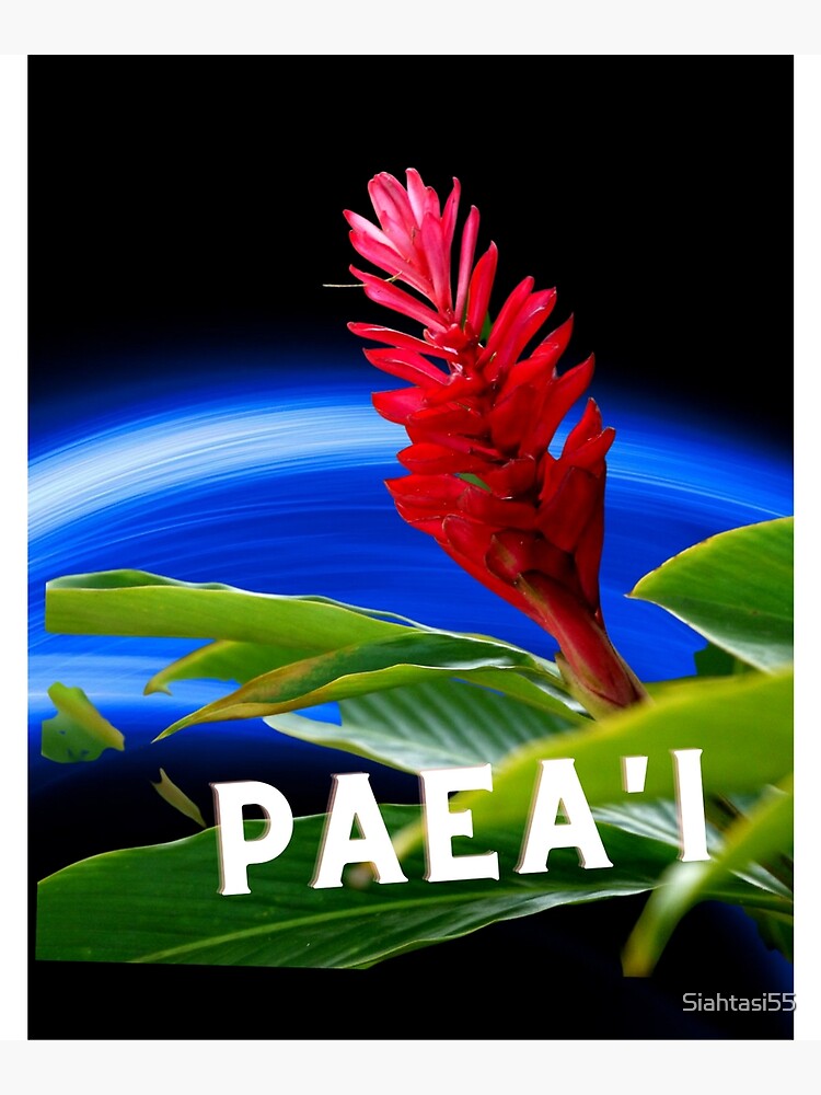 "Paea'i famous Samoan Polynesian name Pago Pago American Samoa" Poster ...