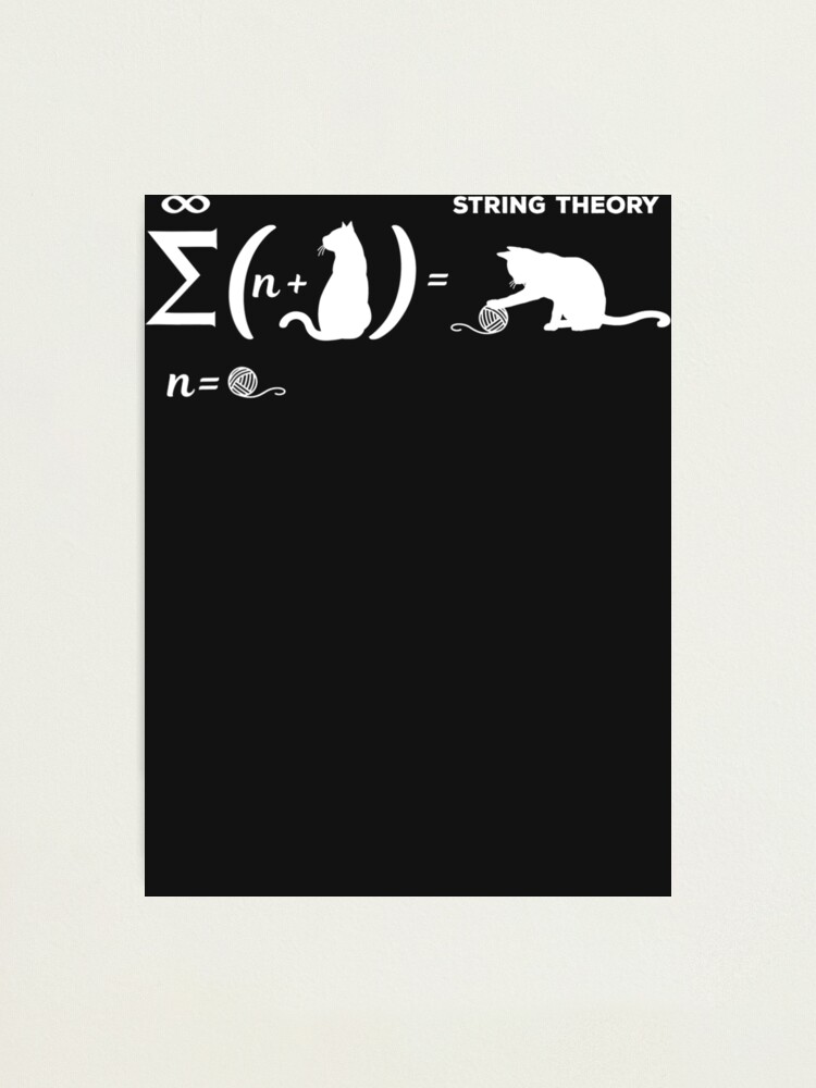 "Schrödinger String Theory - Cat Physicist Quantum Mechanics ...