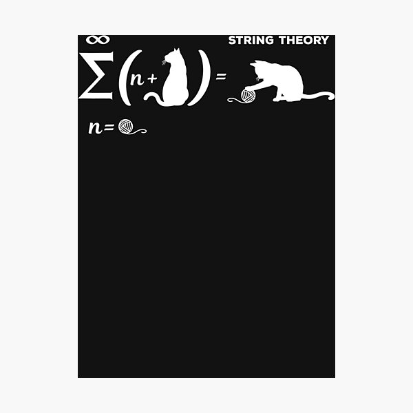 "Schrödinger String Theory - Cat Physicist Quantum Mechanics ...