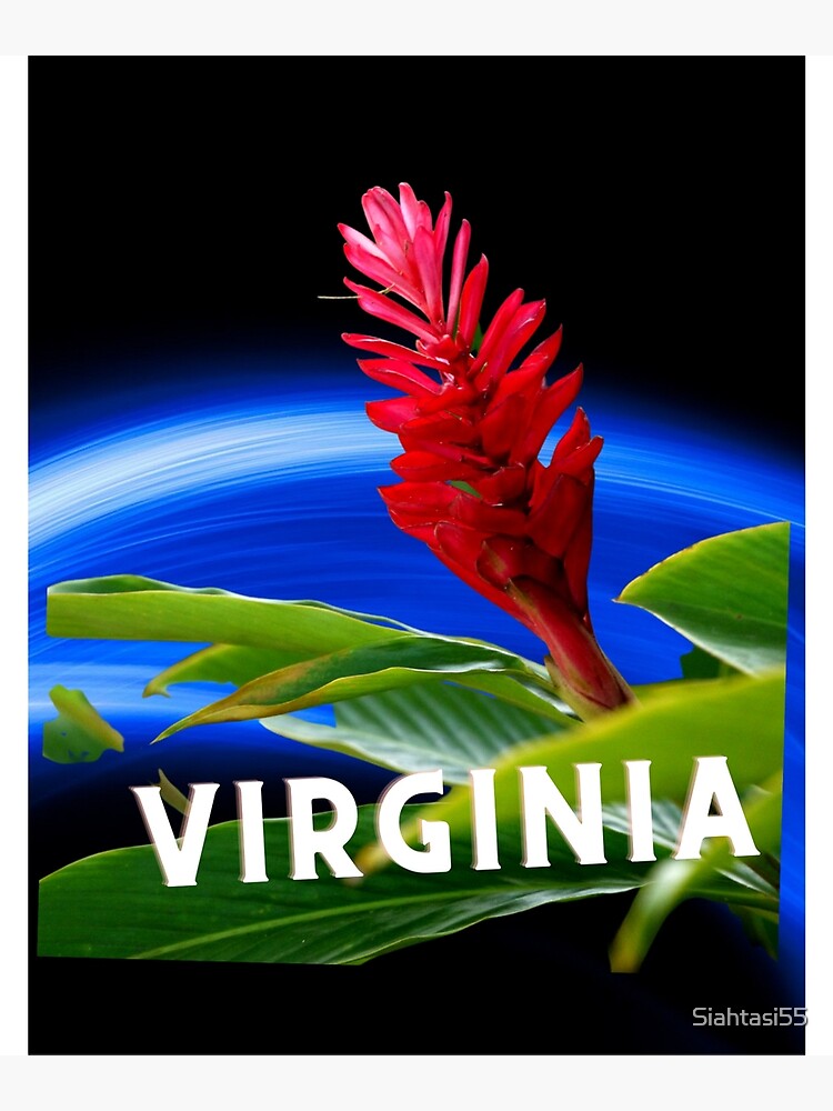 "Virginia famous Samoan Polynesian name Pago Pago American Samoa ...