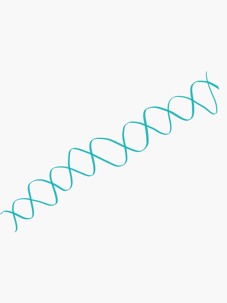 "Minimalist DNA helix" Sticker by tweety55 | Redbubble