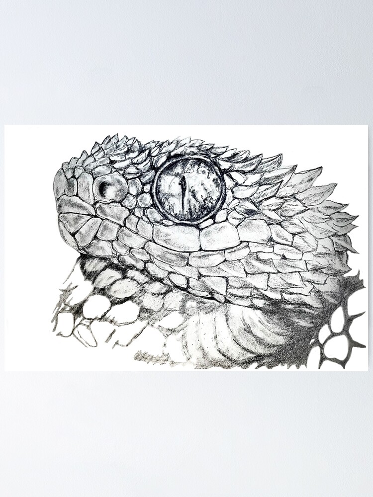 "Viper Death" Poster for Sale by KyraKalageorgi | Redbubble