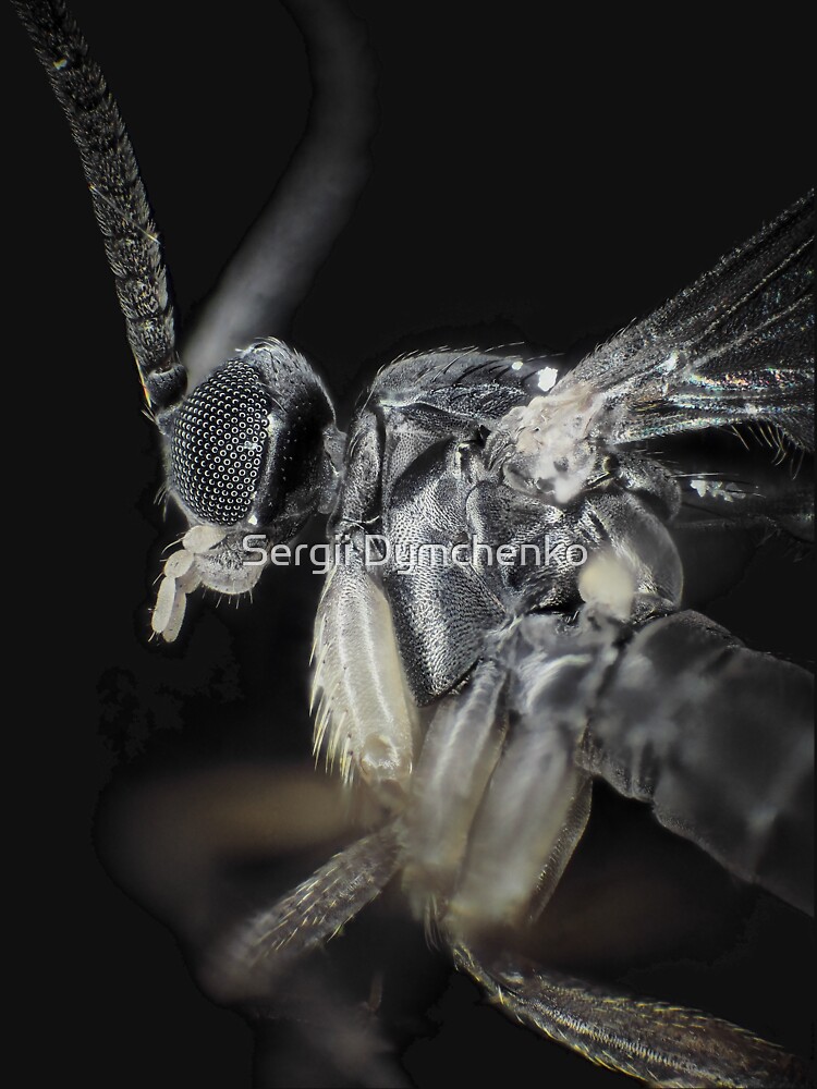 "Fungus gnat under microscope" T-shirt by sdymchenko | Redbubble