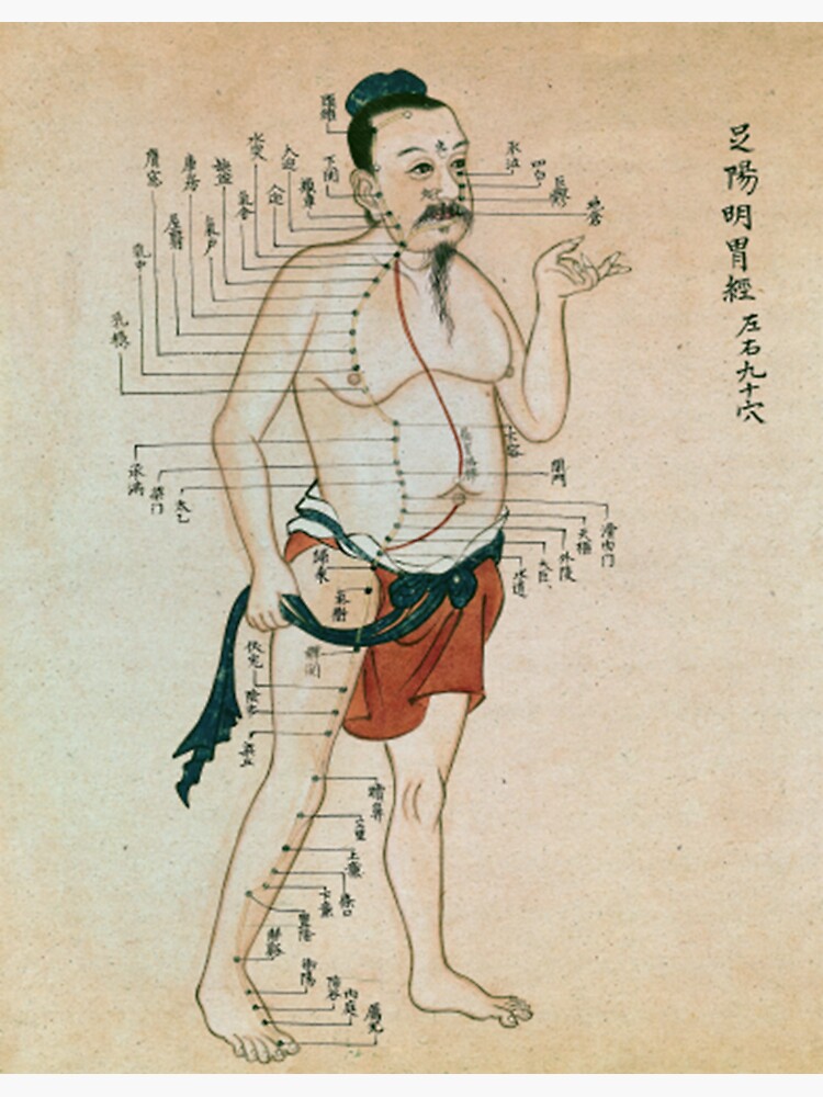 "Dim-Mak Touch of Death Ancient Pressure Point Meridian Parchment ...