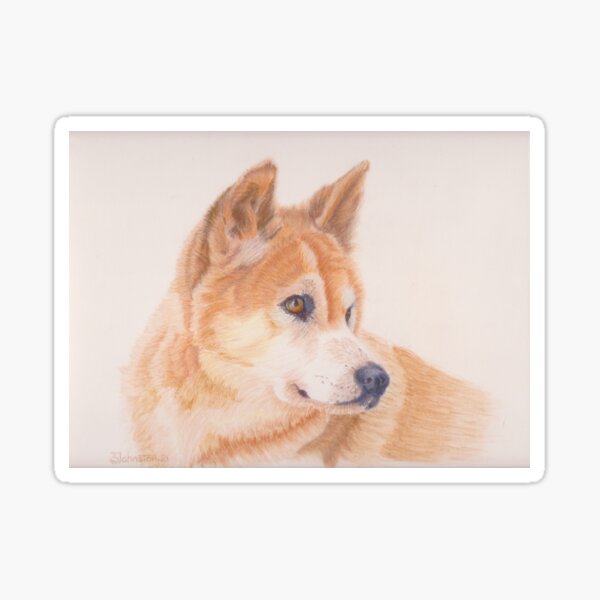 "Australian Dingo " Sticker by memsgran | Redbubble