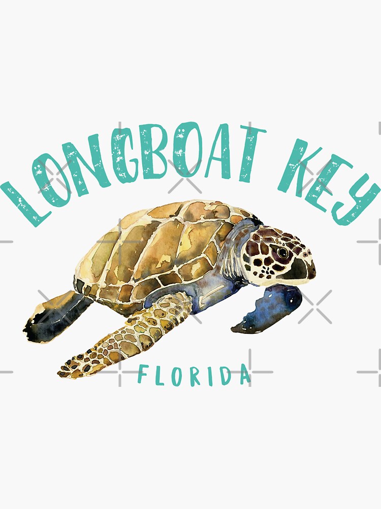"Longboat Key Florida Sea Turtle Design" Sticker by Futurebeachbum ...