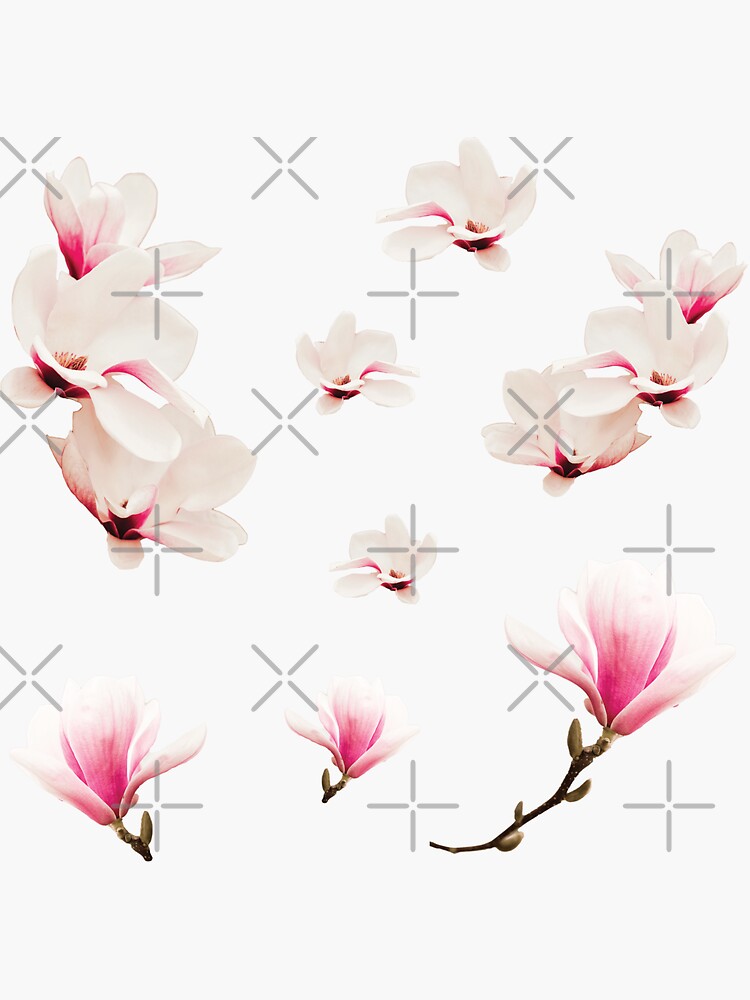 "Magnolia Sticker Pack | Magnolia Blossom Stickers" Sticker for Sale by ...