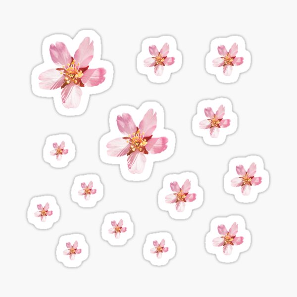 "Cherry Blossom Sticker Pack | Sakura Cherry Blossoms Stickers" Sticker ...