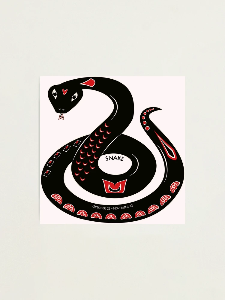 Native American Snake Symbol Amazon.com: Native American Haida Art