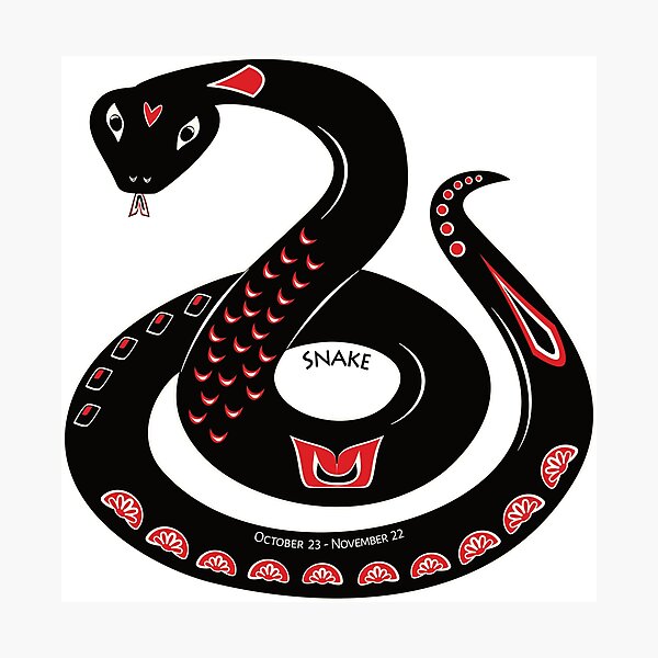 Native American Snake Symbol Amazon.com: Native American Haida Art