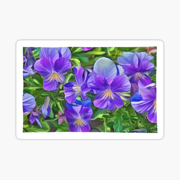 "VIOLA VISIT" Sticker for Sale by Fzorbinjr58 | Redbubble